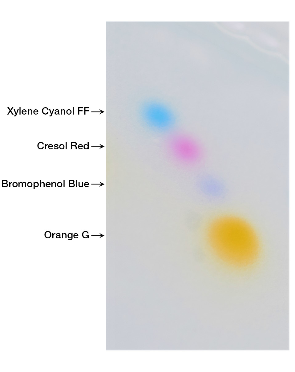 Loading Buffers - Red, Blue, Orange & Cyan