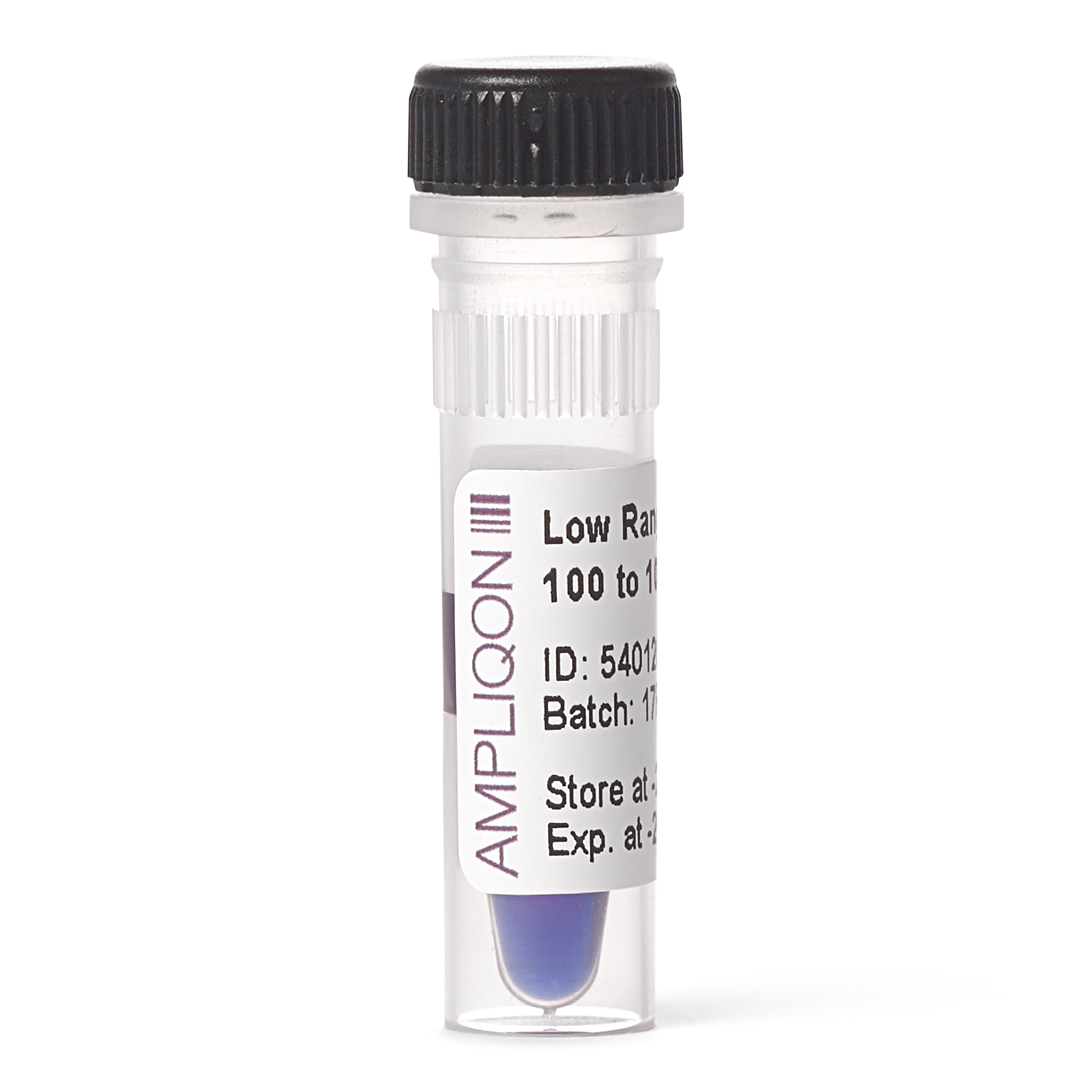 Low Range DNA Ladder