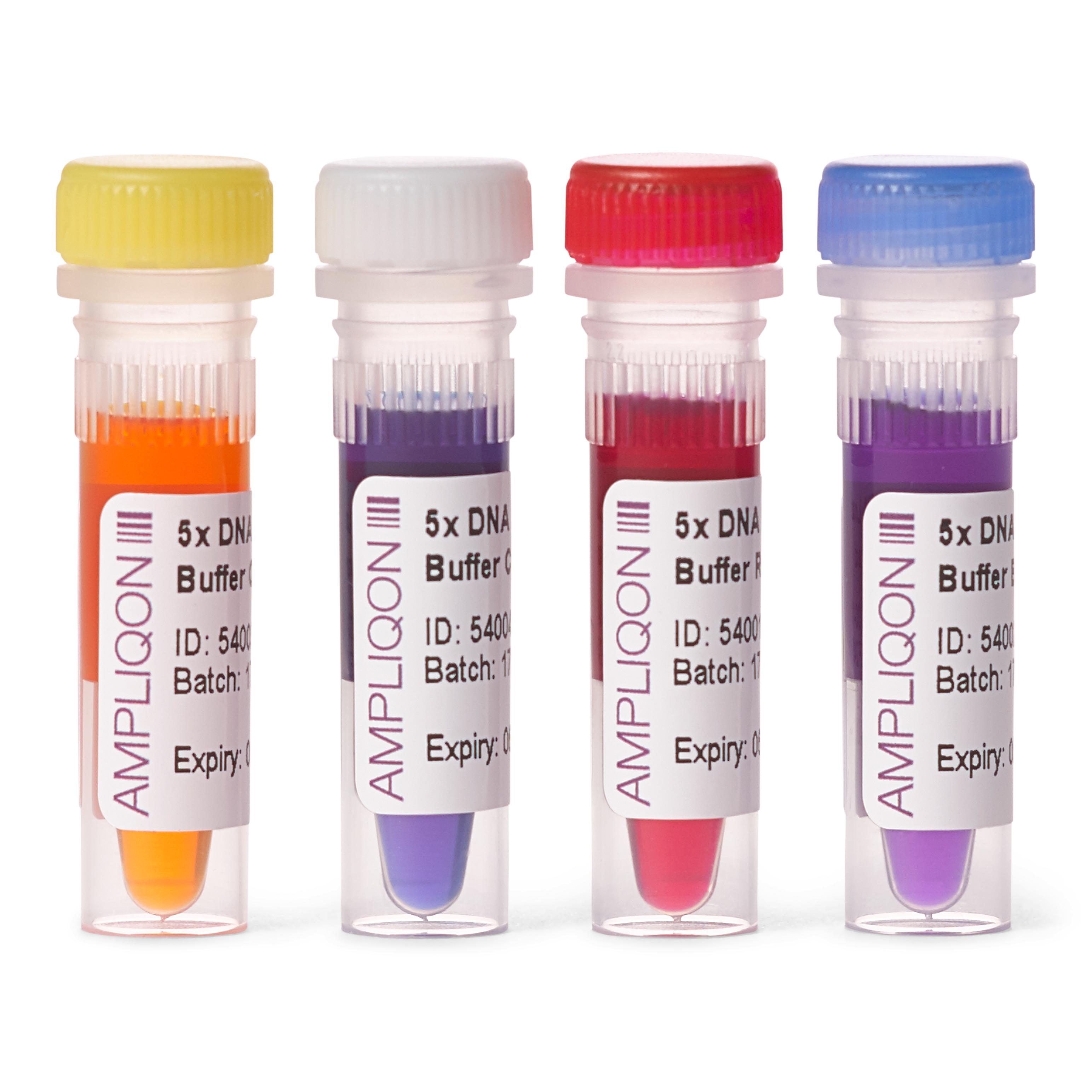 Loading Buffers - Red, Blue, Orange & Cyan